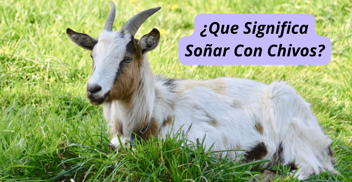 ¿Que Significa Soñar Con Chivos?